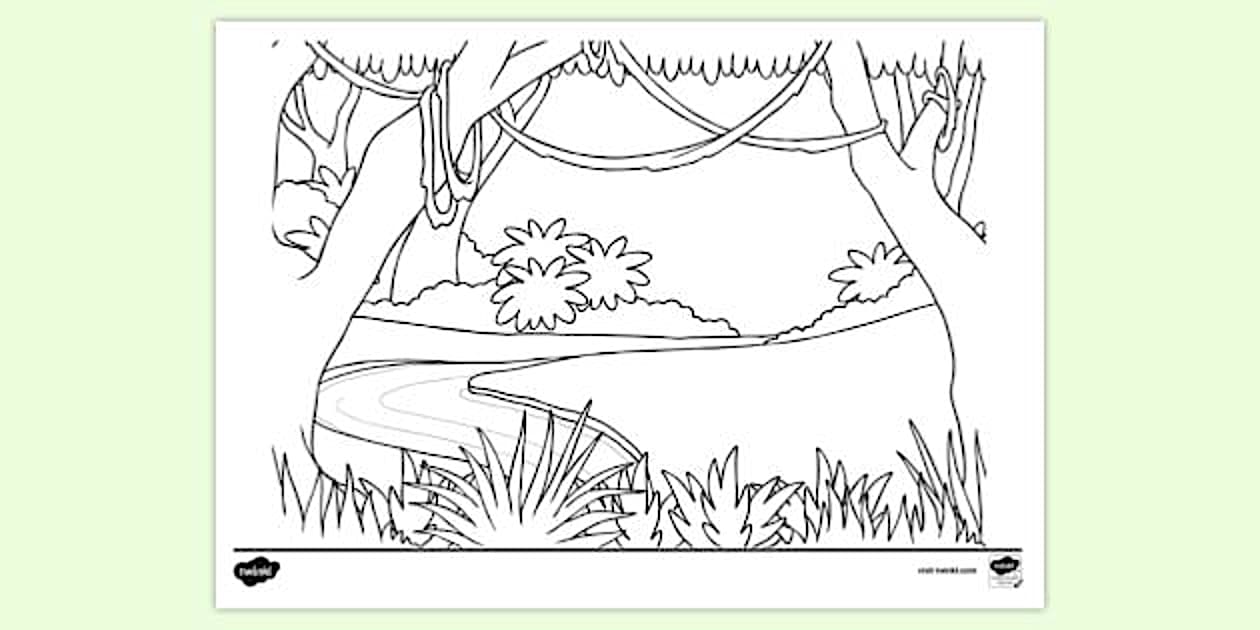 Jungle Colouring Page PDF (teacher made) - Twinkl