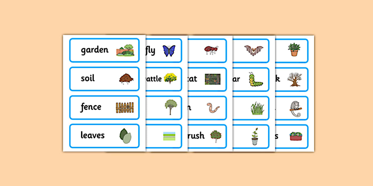 Black and White Backyard Habitat Word Cards - Twinkl