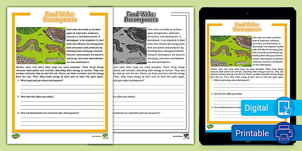 Third Grade Food Webs: Decomposers Reading Response Worksheet