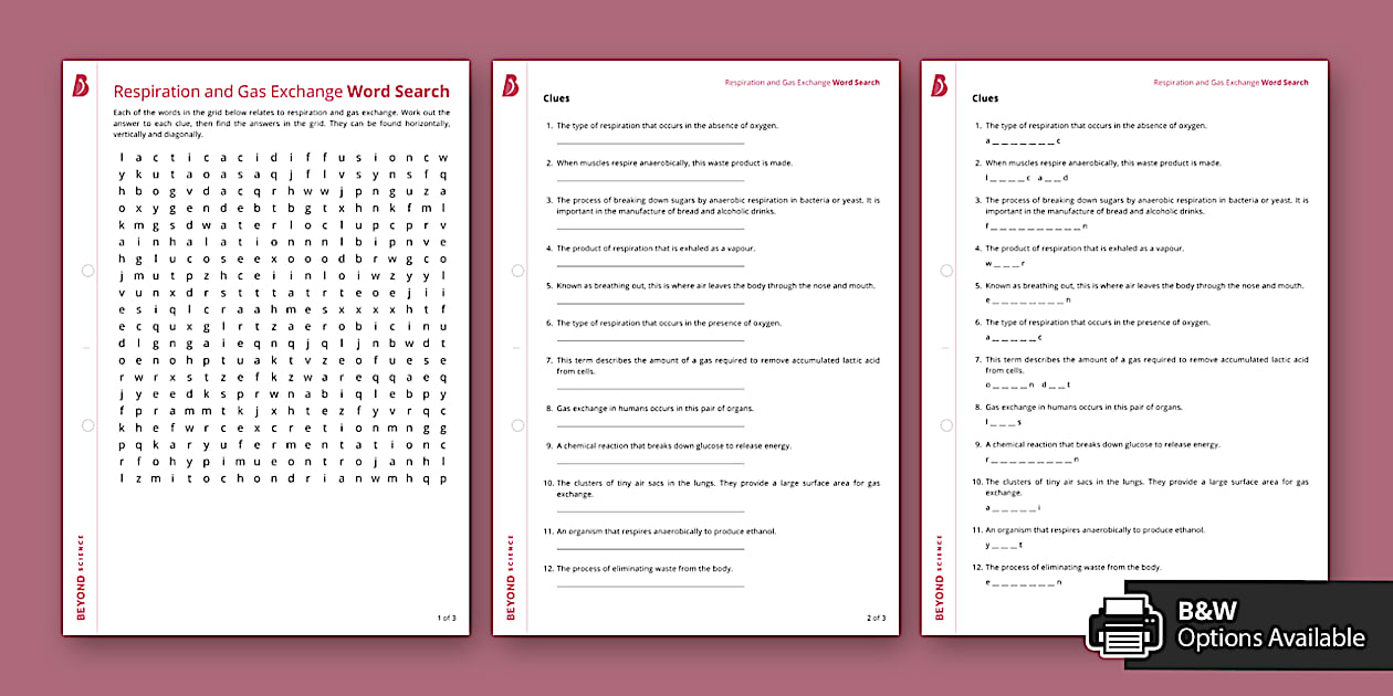 Respiration and Gas Exchange Wordsearch (teacher made)