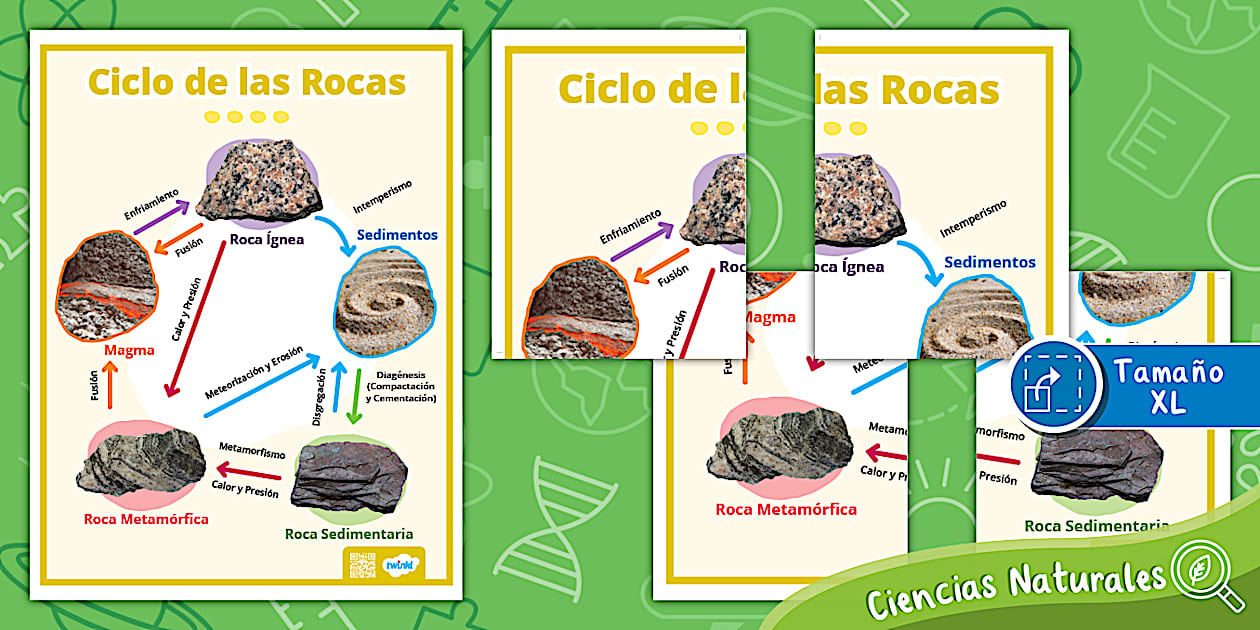 Ciclo de las Rocas | Sedimentaria |Ígneas | Metamórficas