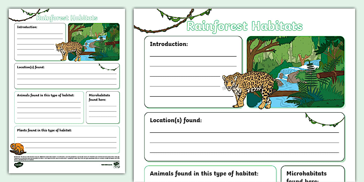 Rainforest Habitats Non-Chronological Report Template