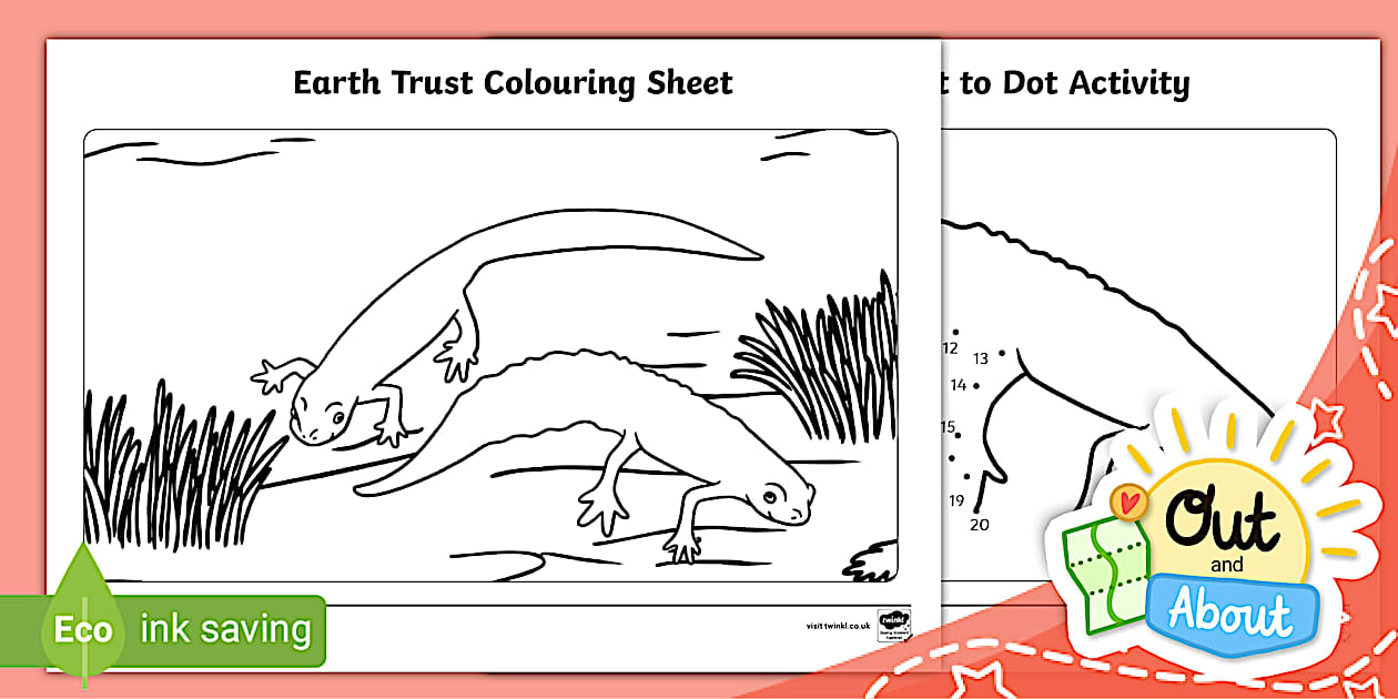 Earth Trust Activity Pack (teacher made) - Twinkl