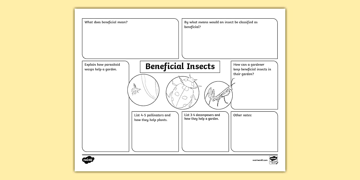 Beneficial Insects Mind Map Worksheet for 6th-8th Grade