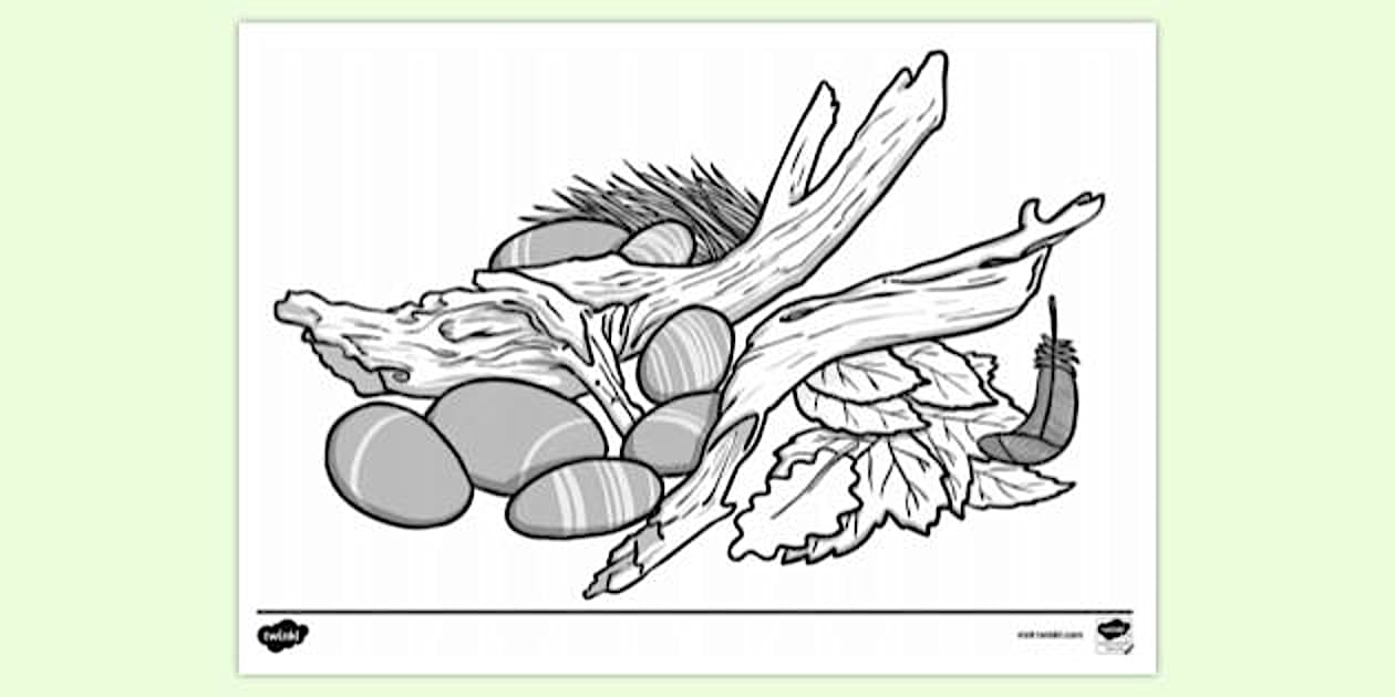 Organic Colouring Sheet | Colouring Sheets