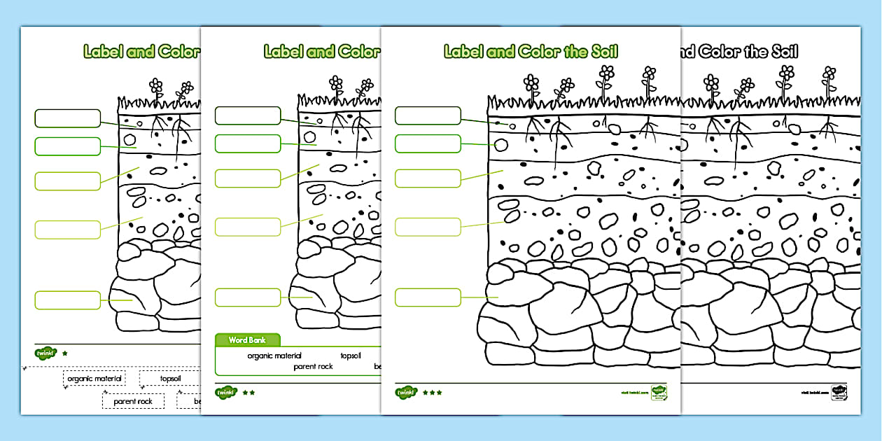 Label and Color the Soil Differentiated Worksheet for K-2nd Grade Label and Color the Soil Differentiated Worksheet for K-2nd Grade
