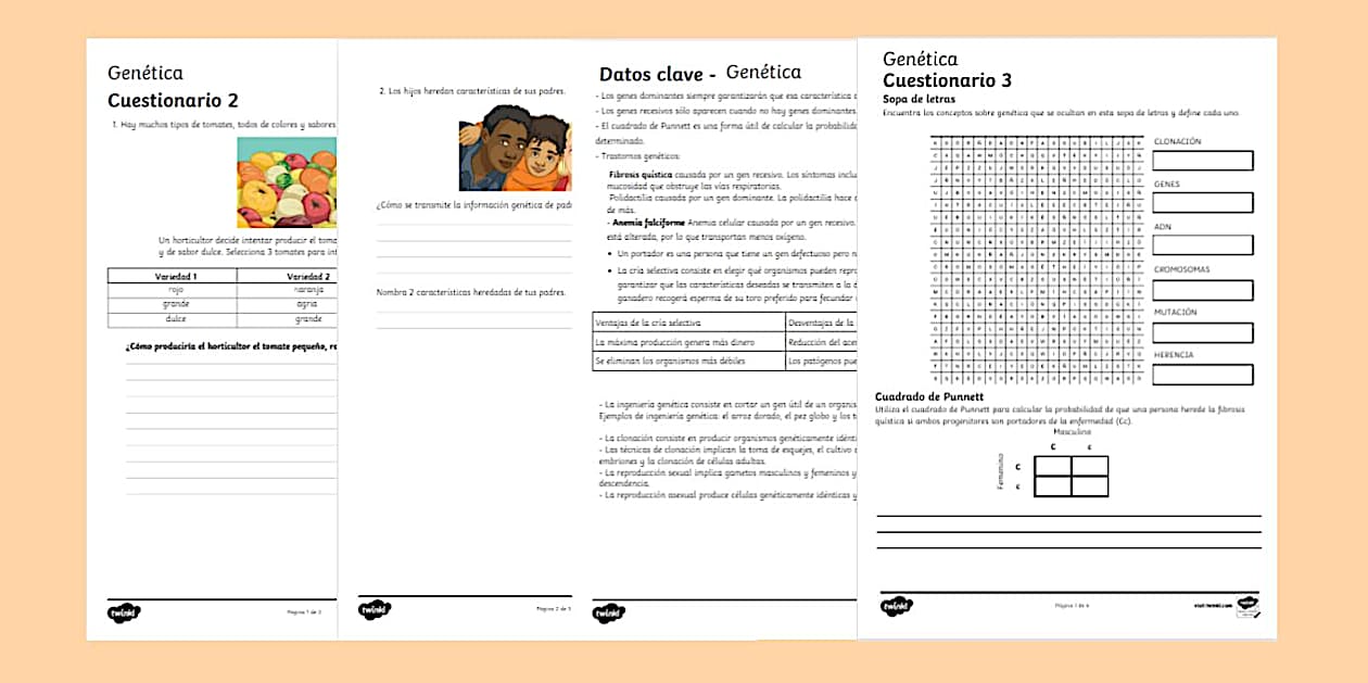 Evaluaciones escolares - Genética - Biología Twinkl Colombia