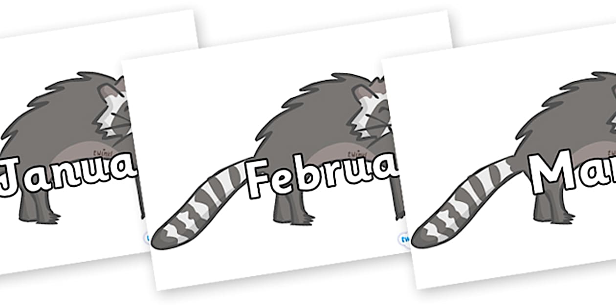 Months of the Year on Raccoons (Teacher-Made) - Twinkl