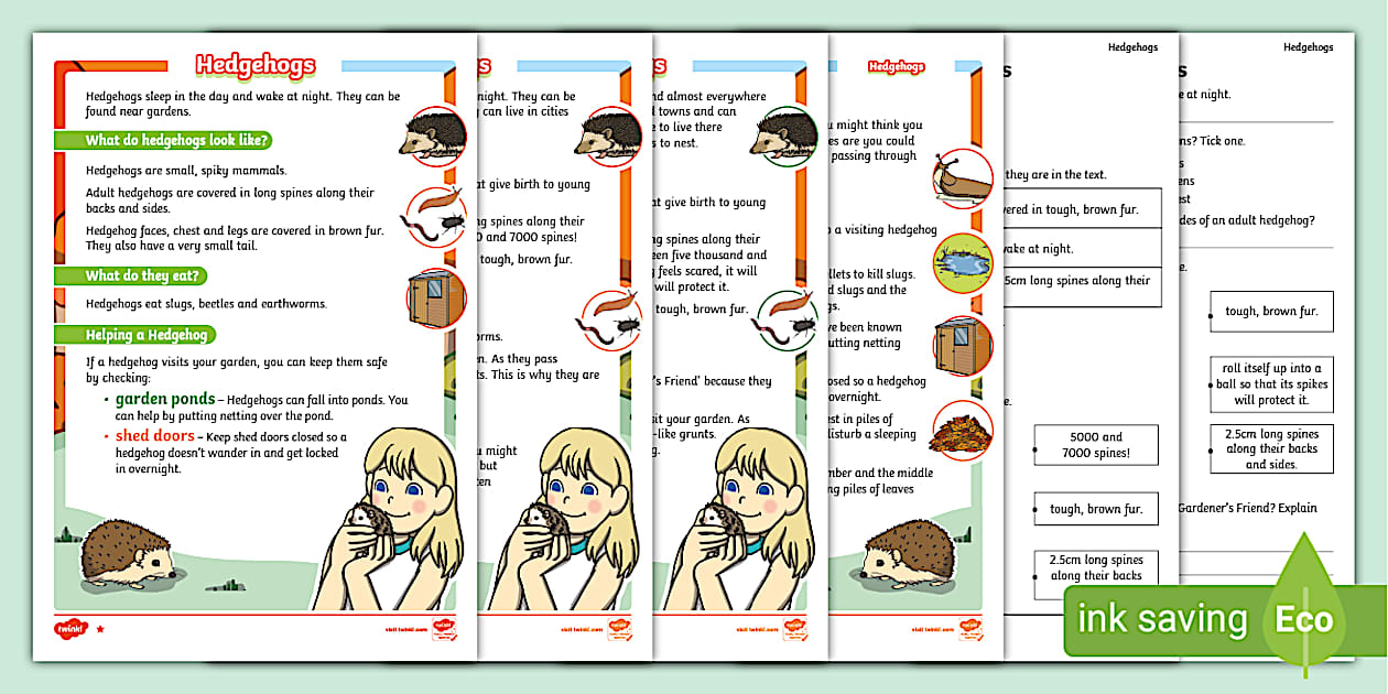 Helping Hedgehogs Reading Comprehension Activity - Twinkl
