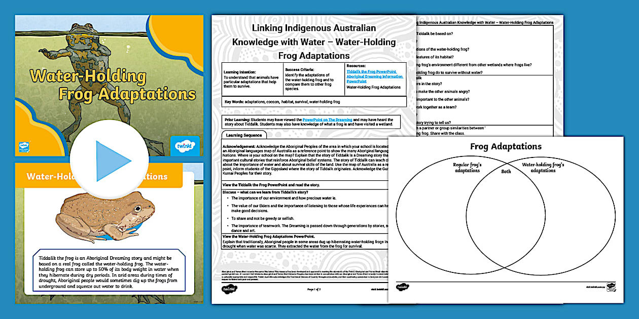 Water-Holding Frog Adaptations Activity Pack (teacher made)