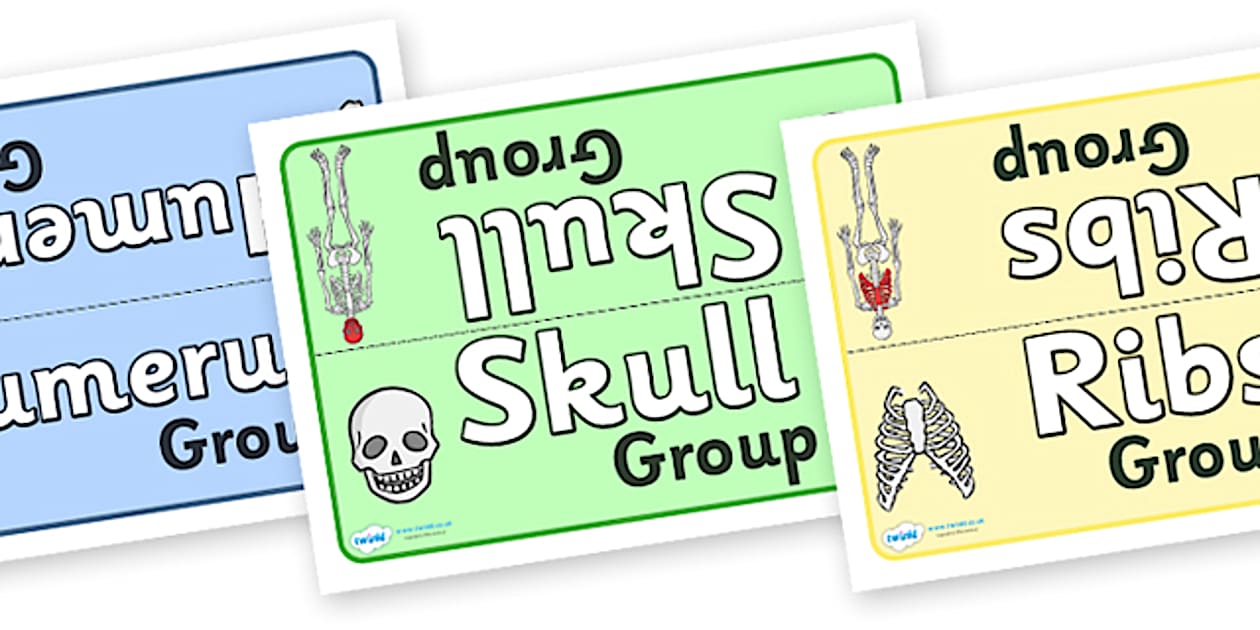 Bones Of The Body Class Group Table Signs - Twinkl