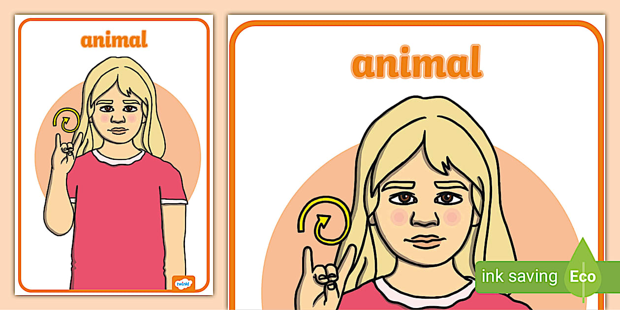 Auslan Display Poster - Animal