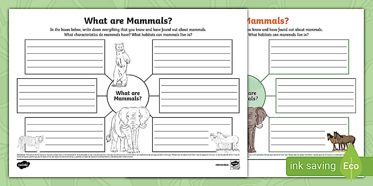 What Are Mammals? Mind Map (Teacher-Made) - Twinkl