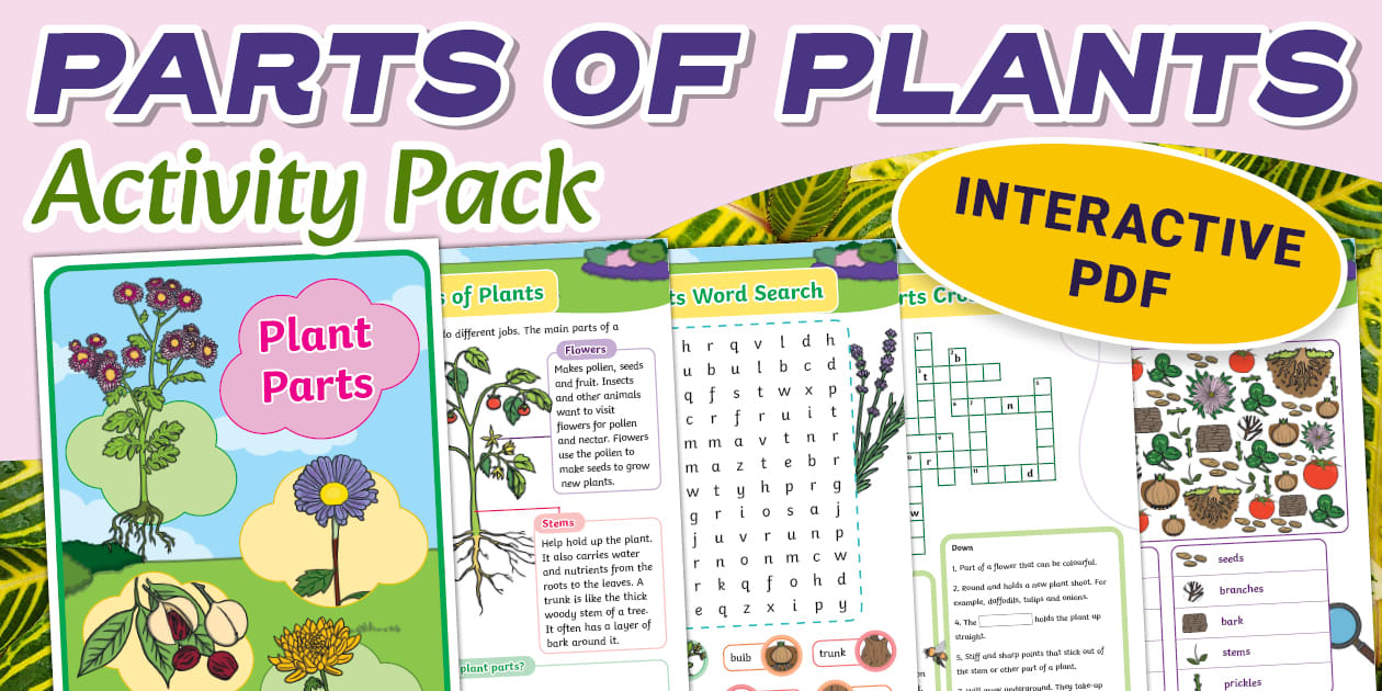 Parts of Plants Interactive PDF Activity Pack