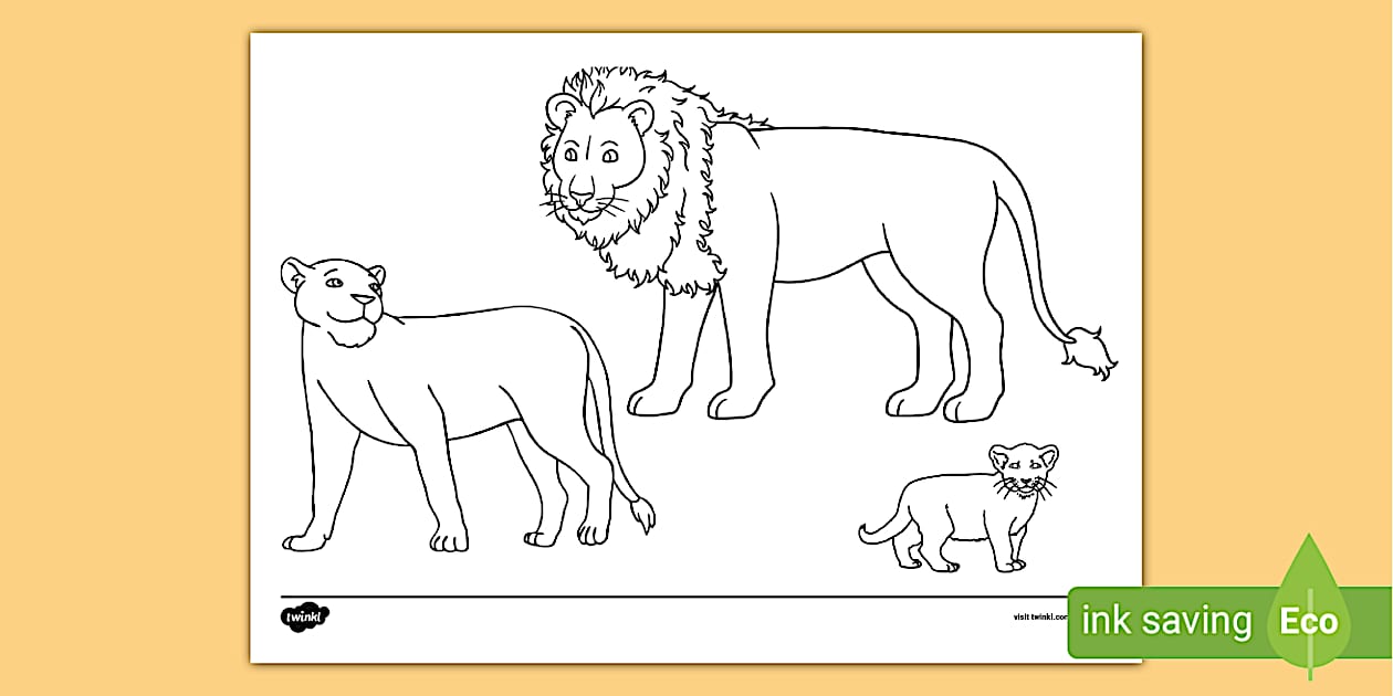 Family of Lions Colouring Sheet - Twinkl - EYFS - Twinkl