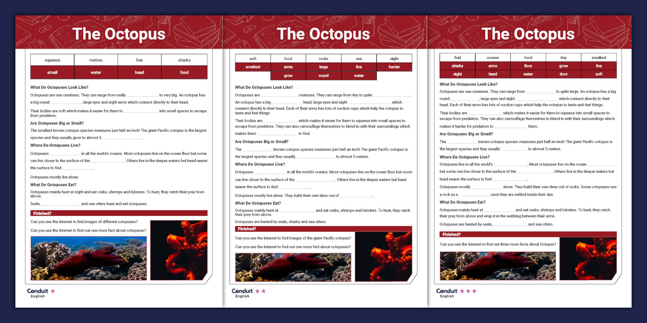 Reinforcing Reading: Octopus Differentiated Cloze Passages