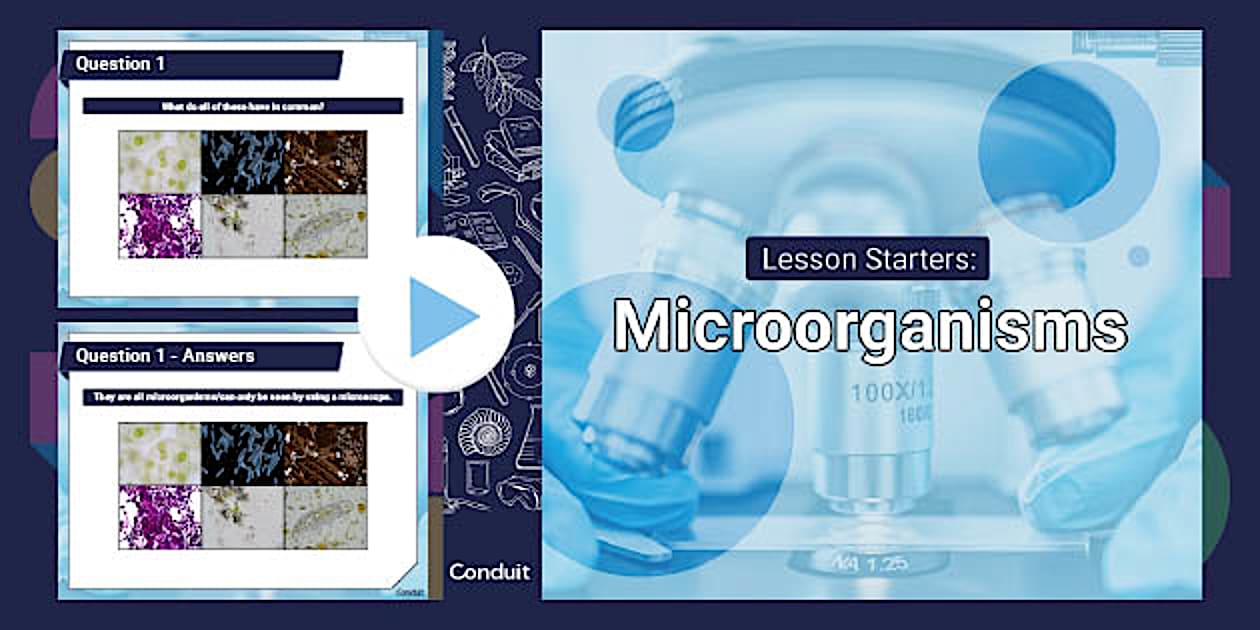 Microorganisms: Lesson Starters PowerPoint (teacher made)