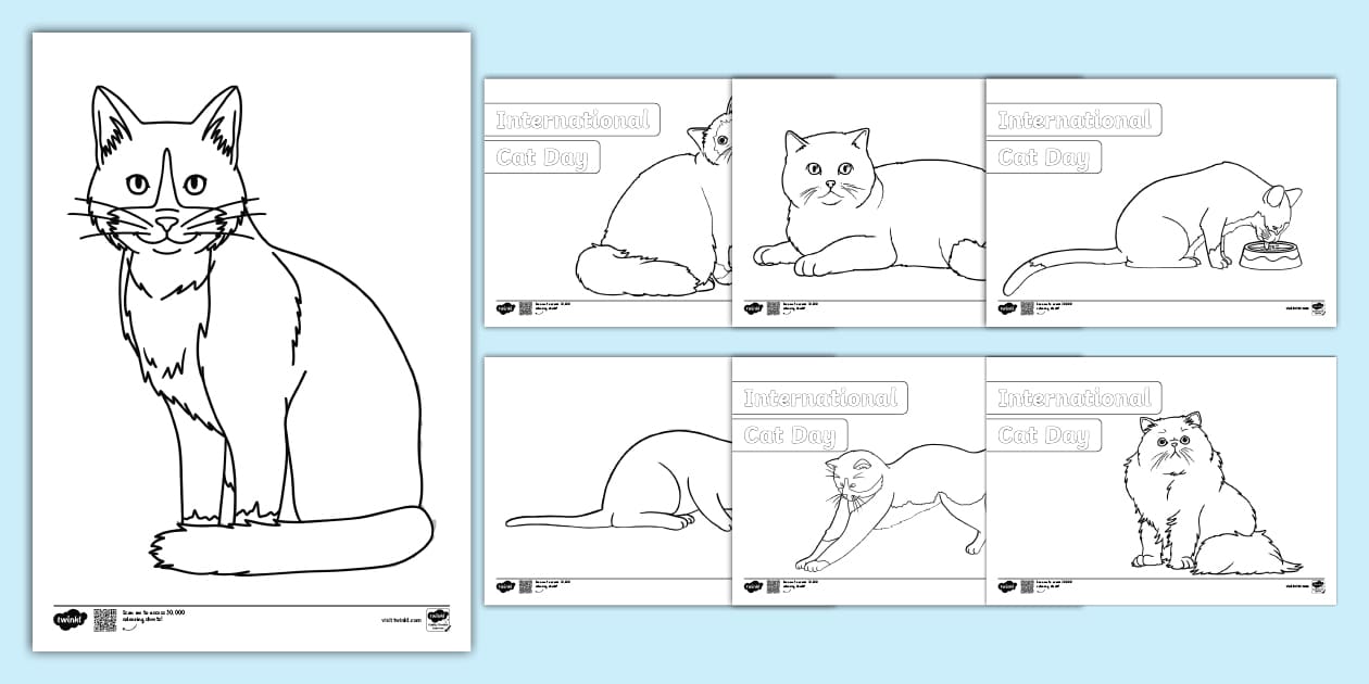 KS1 International Cat Day Colouring Pages - Twinkl