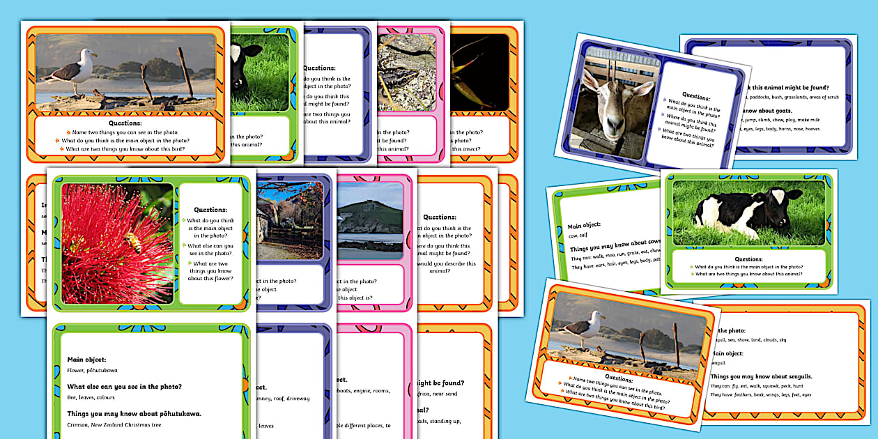 Photo Attributes Question Prompts (teacher made) - Twinkl