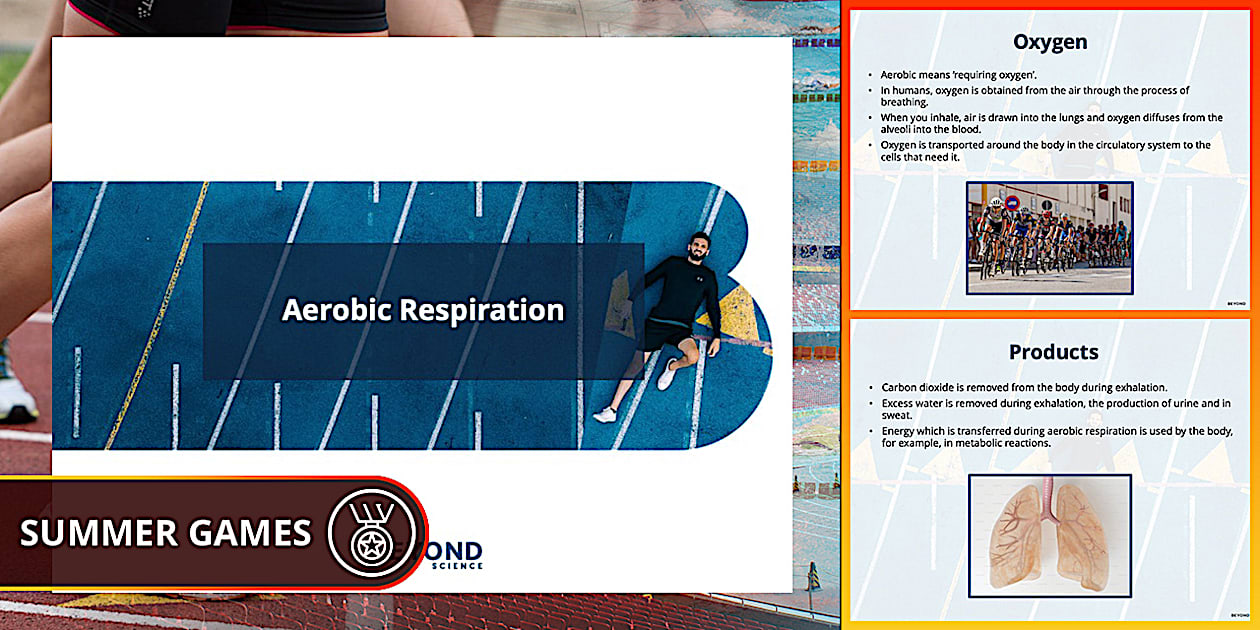 Aerobic Respiration In Athletics PowerPoint (teacher made)