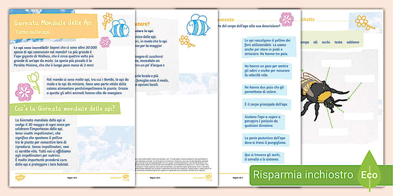 Scheda sulle api (teacher made) - Twinkl