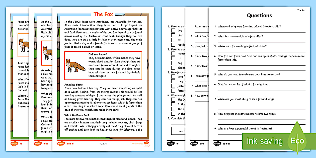 QLD Fox Differentiated Reading Comprehension Activity