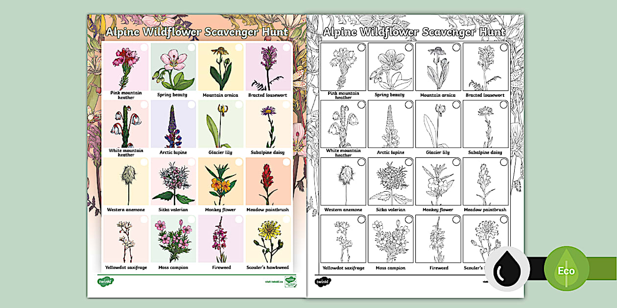 Canadian Alpine Region Summer Wildflowers Scavenger Hunt