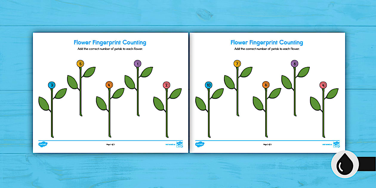 Flower Fingerprint Counting Activity Sheets (teacher made)