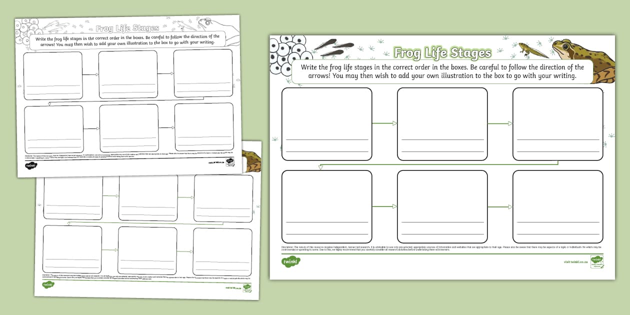 Frog Life Stages Sequencing Mind Map - Twinkl
