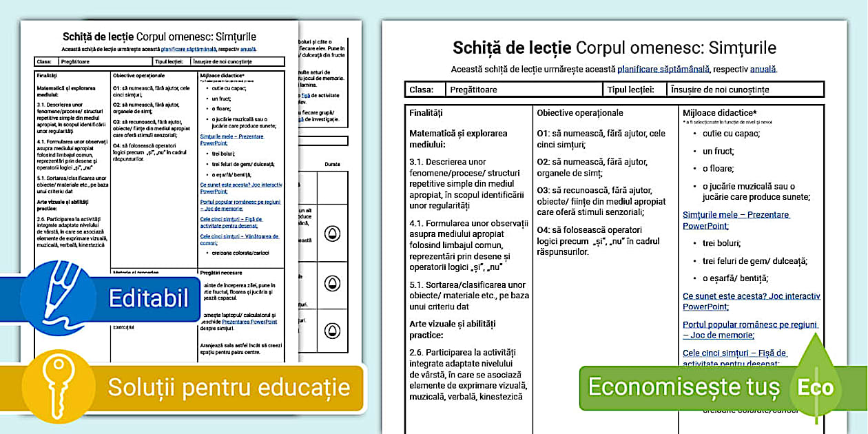 Corpul omenesc: Simțurile – Clasa pregătitoare - Twinkl