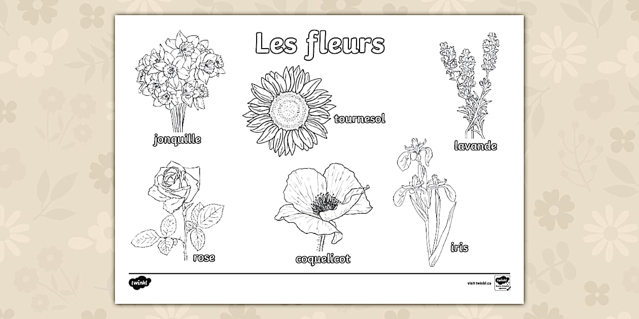 Coloriage : Les fleurs (teacher made) - Twinkl