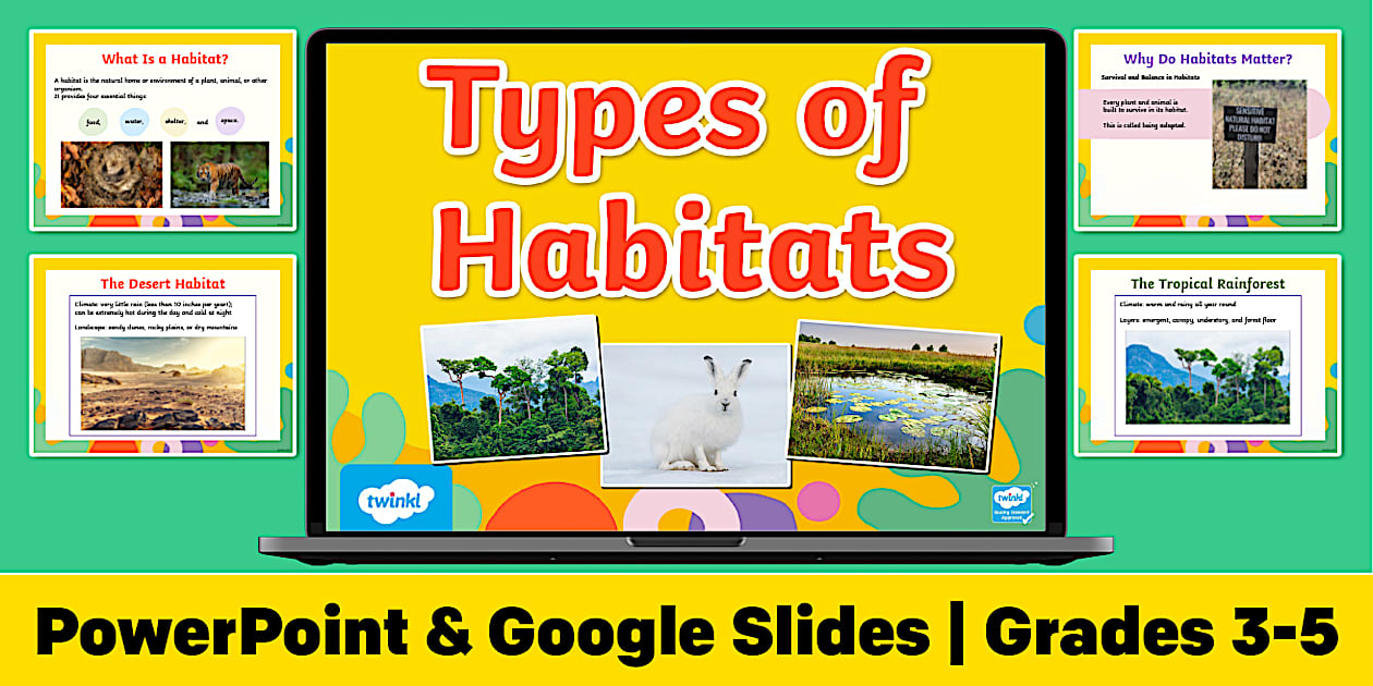 Types of Habitats PowerPoint & Google Slides for 3rd-5th Grade