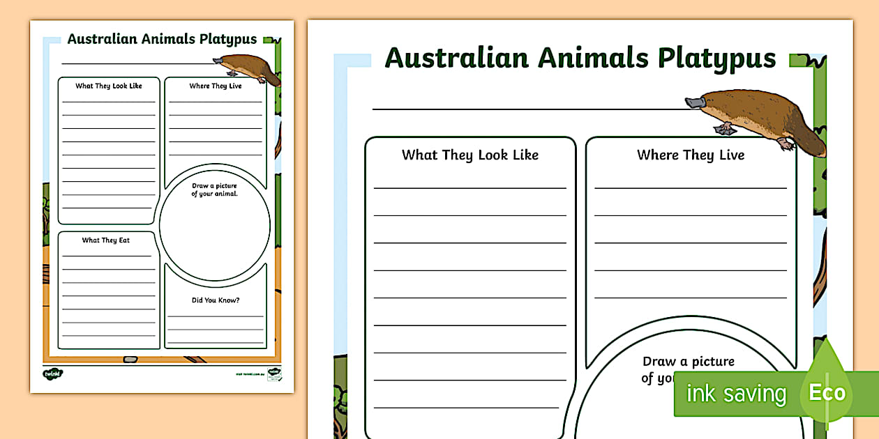 Editable Australian Animals Platypus Template Report