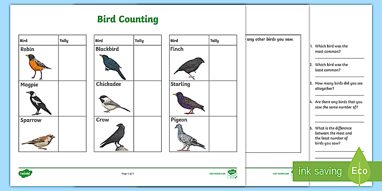 Bird Watching, Counting, and Graphing Activity - Twinkl