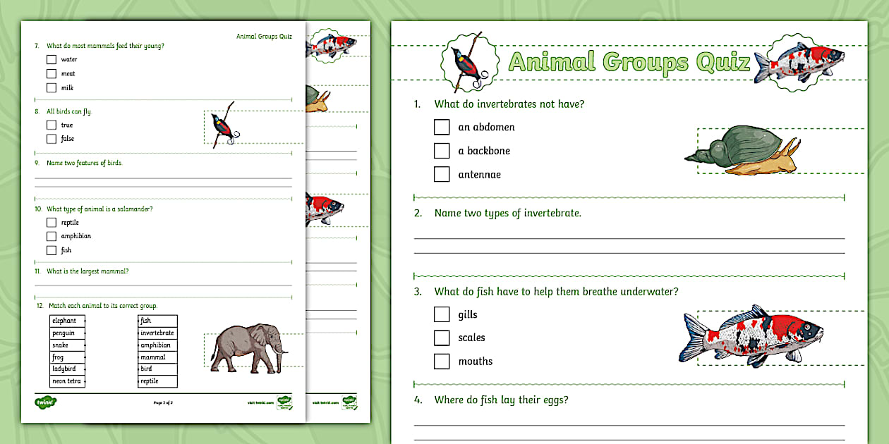 Animal Groups Paper Quiz - Twinkl - KS2 (Teacher-Made)