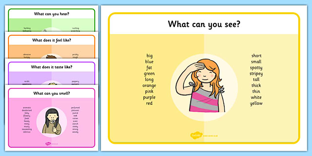 Senses Word Bank (teacher made) - Twinkl