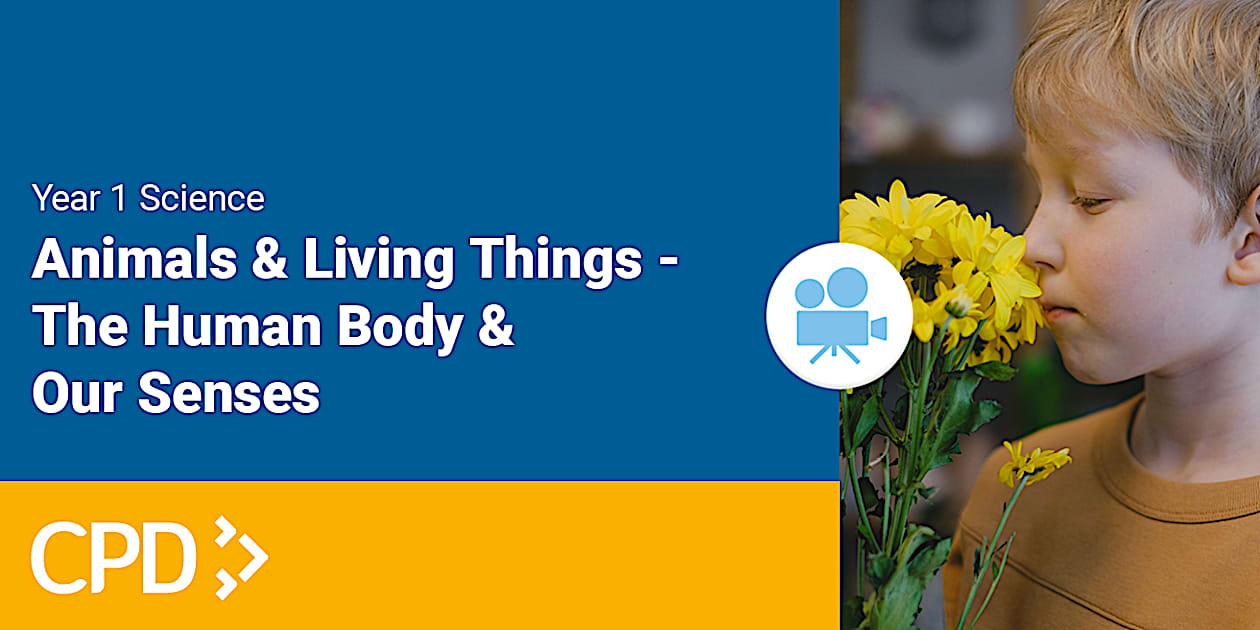 How to Teach Year 1 About The Human Body & Senses Video CPD