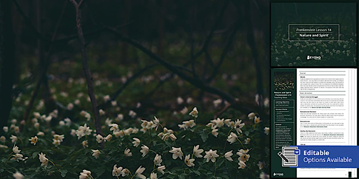 Editable Frankenstein: Nature and Spirit - Chapter 18 Lesson Pack