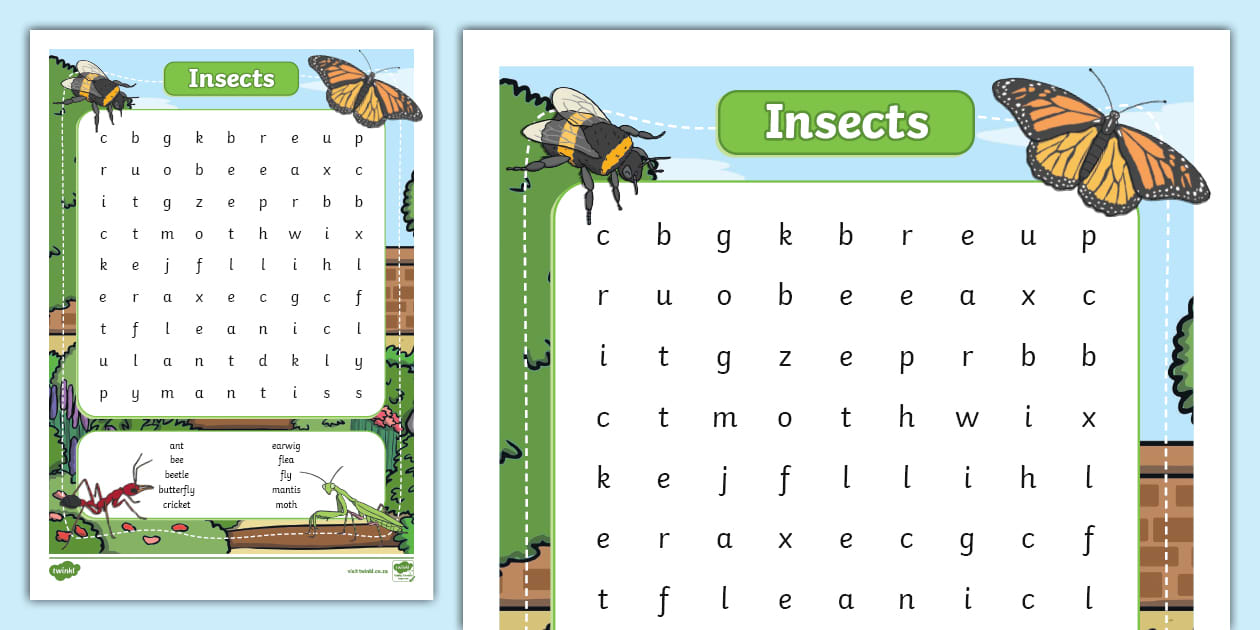 Insects Word Search (teacher made) - Twinkl