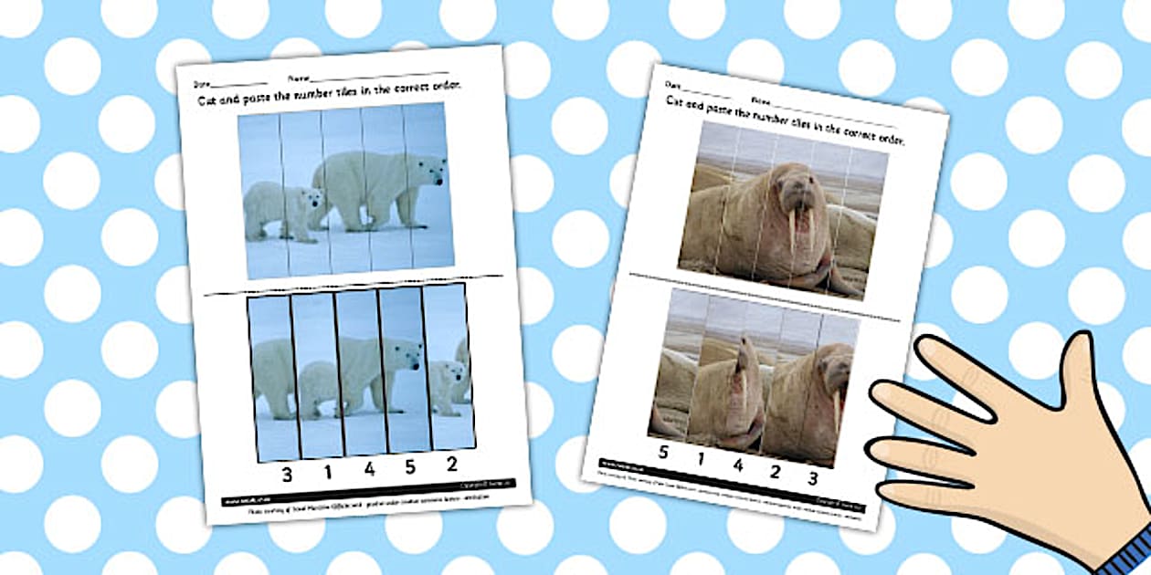 Polar Regions Photo Number Sequencing Puzzle - Twinkl