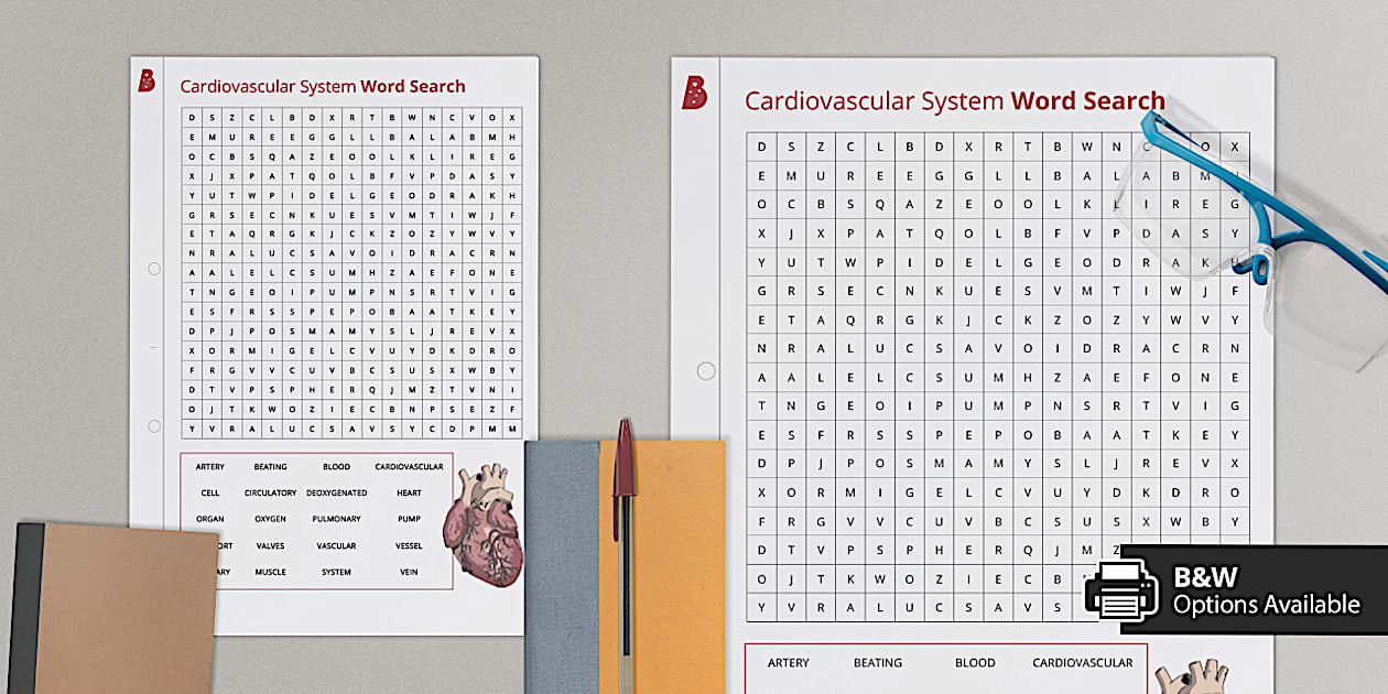 Cardiovascular System Word Search (Teacher-Made) - Twinkl
