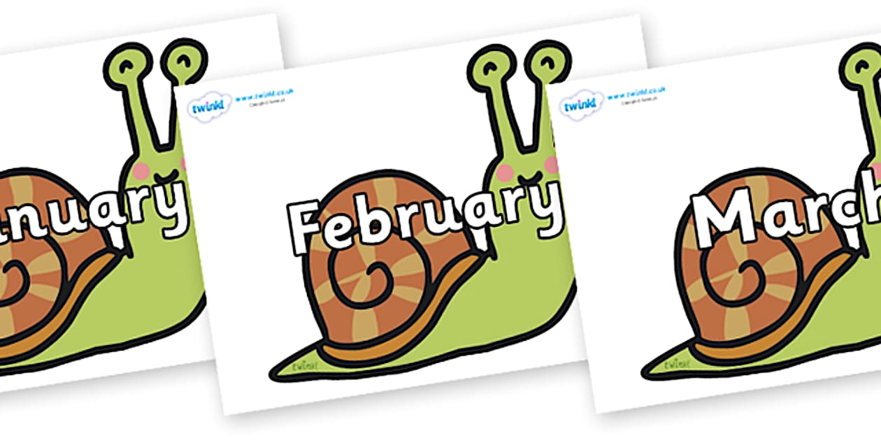 Months of the Year on Snails (Teacher-Made) - Twinkl