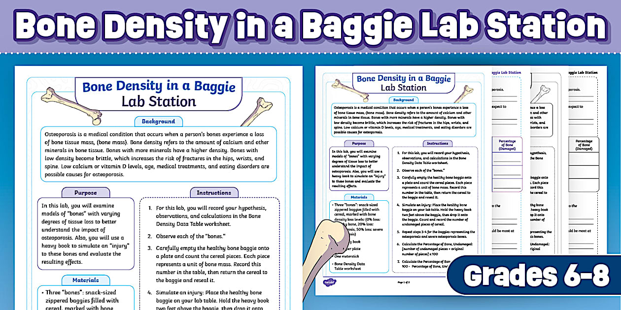 Hands-On Skeletal System: Bone Density in a Baggie Lab