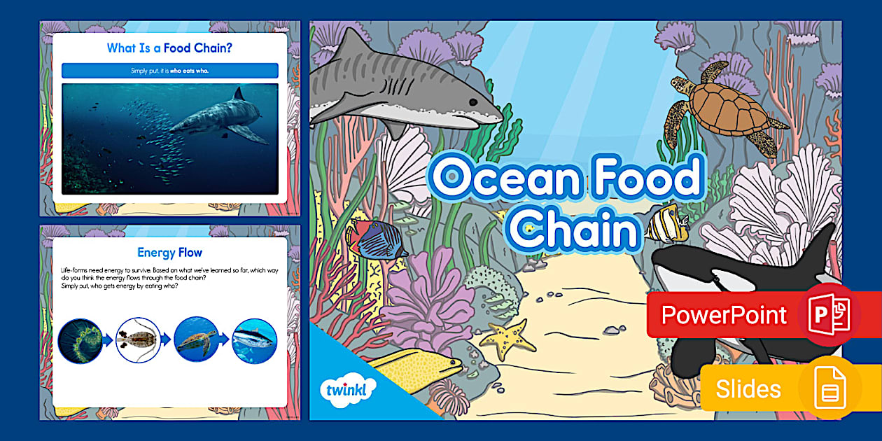 Ocean Food Chain PowerPoint and Google Slides for K-2nd