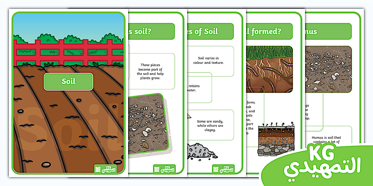 Soil Poster (Teacher-Made) - Twinkl