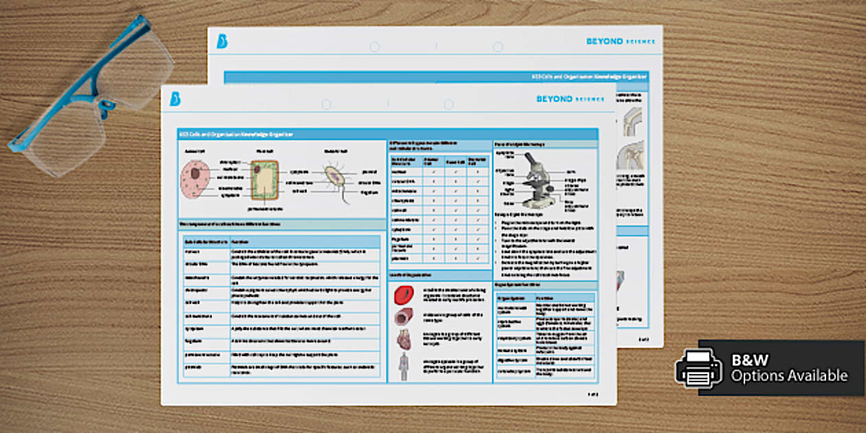 Cells and Organisation Knowledge Organiser | Beyond - Twinkl