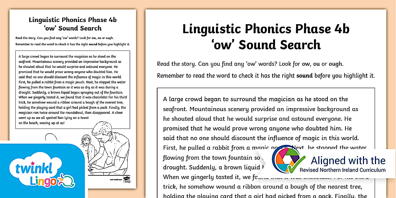 ow Sound Worksheet - NI Phase 4b Phonics (teacher made)