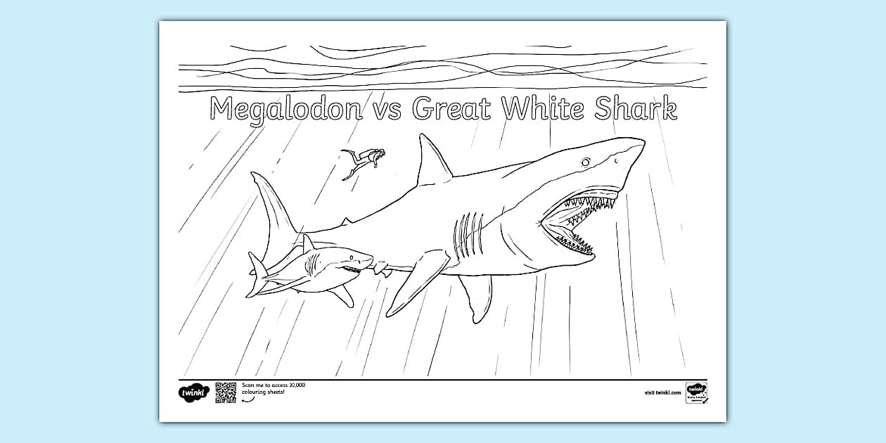 Megalodon vs Great White Colouring Page - Twinkl