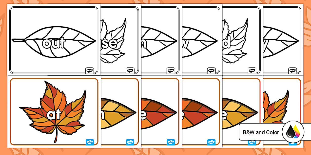 Sight Words on Fall Leaves Poster | ELA Resource | Twinkl US