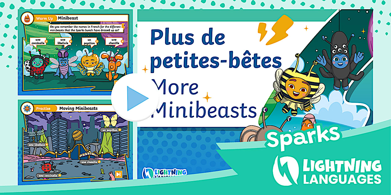 👉 Lightning Languages French Sparks Minibeasts PowerPoint 2
